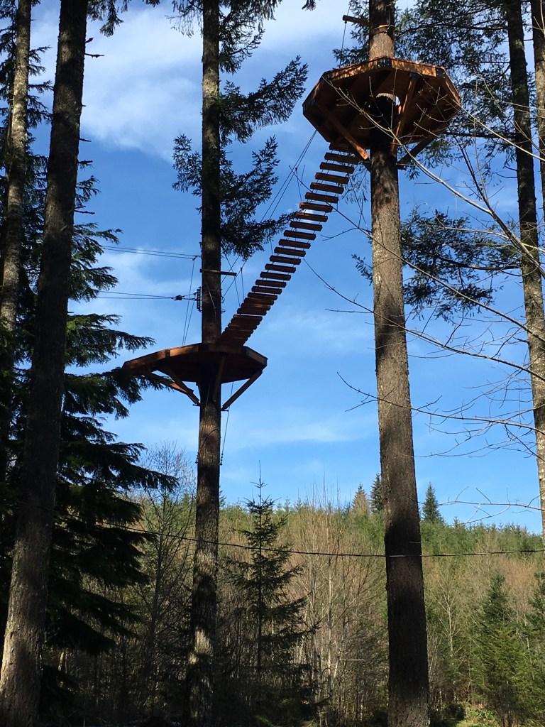 Whoa…New Zip Line Features at Camp Howard | CYO/Camp Howard