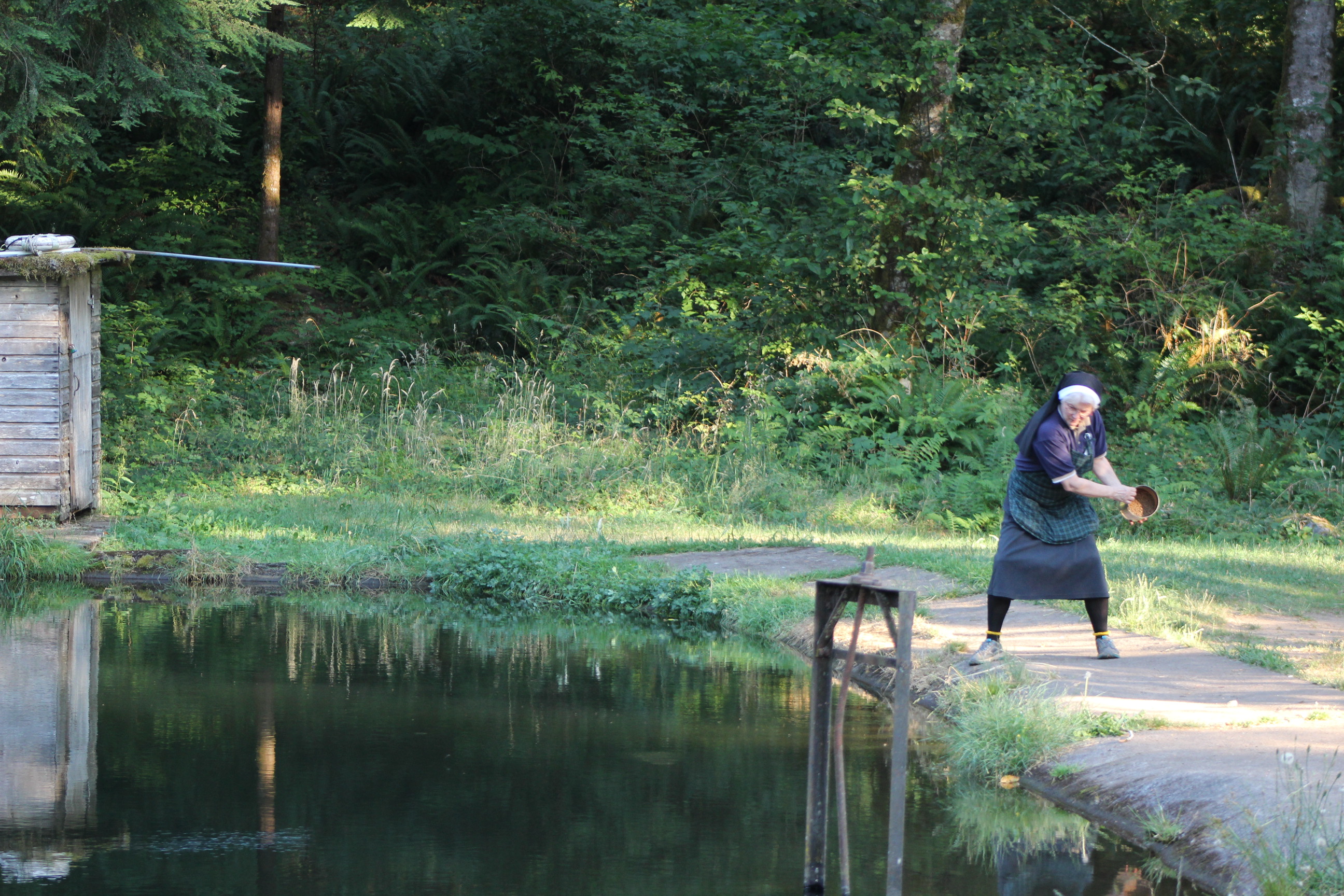 The Awesome Fishing Hole at Camp Howard | CYO/Camp Howard