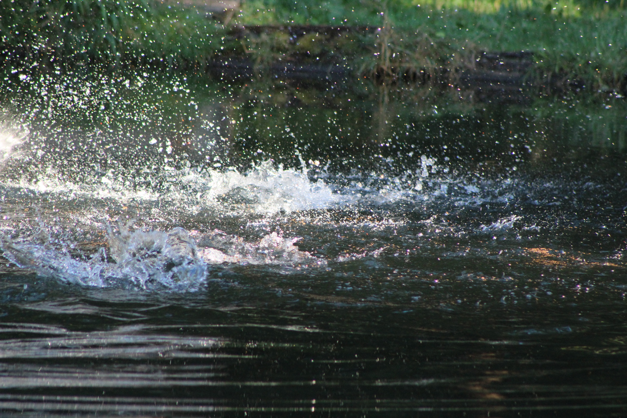 The Awesome Fishing Hole at Camp Howard | CYO/Camp Howard